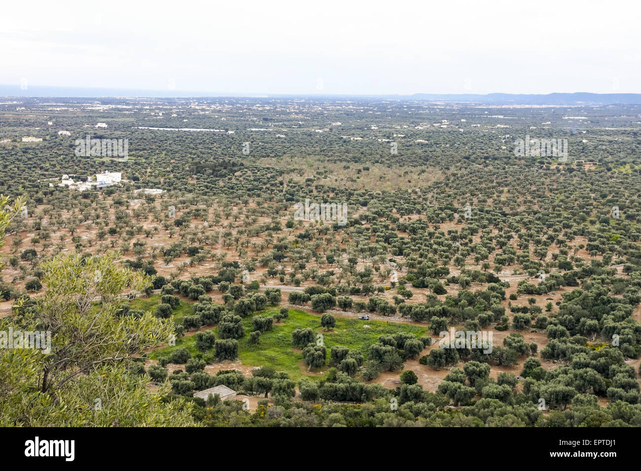 Alberobello area, Apulia, Italy Stock Photo - Alamy