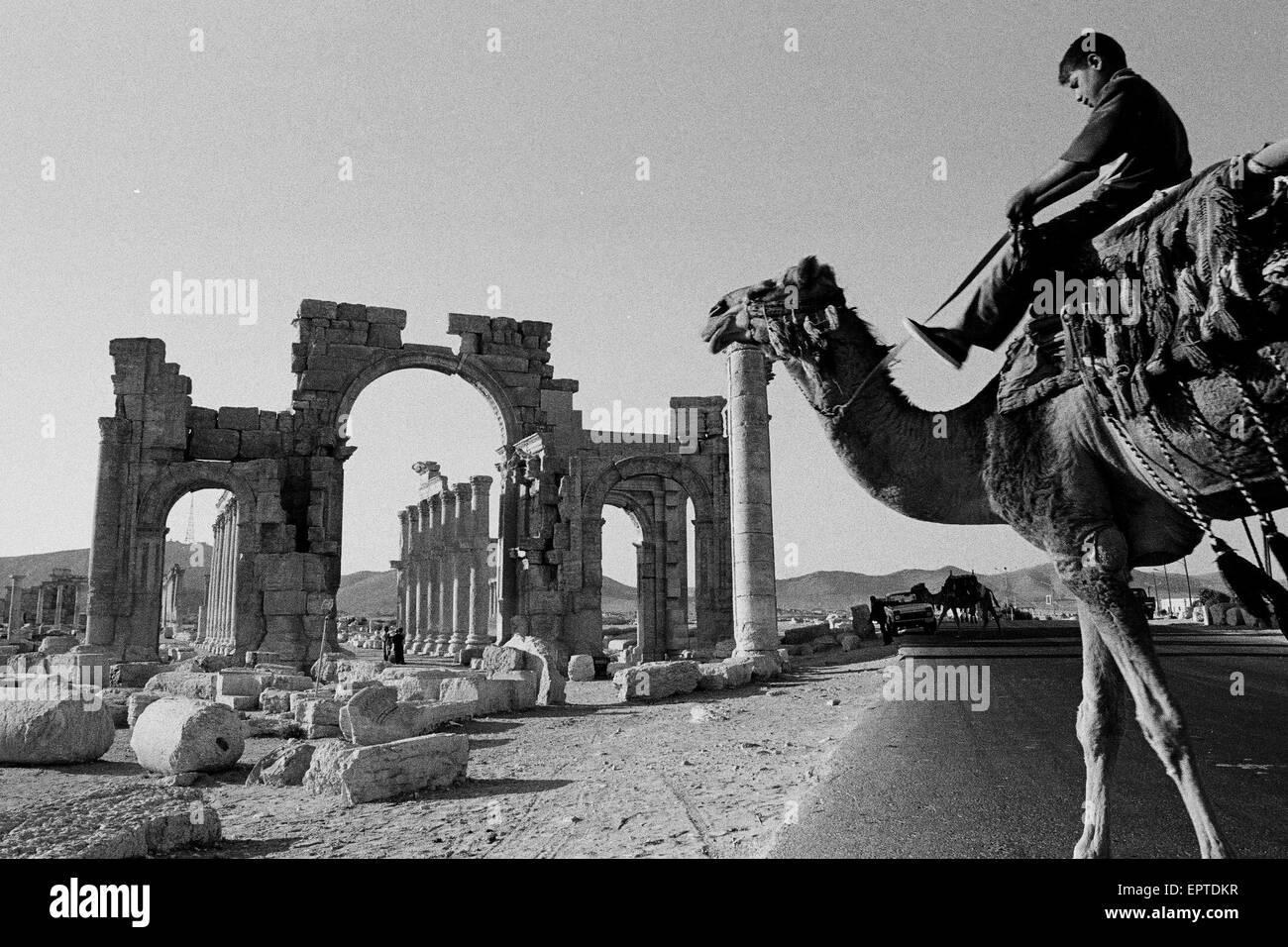 Camel ruins palmyra syria Black and White Stock Photos & Images - Alamy