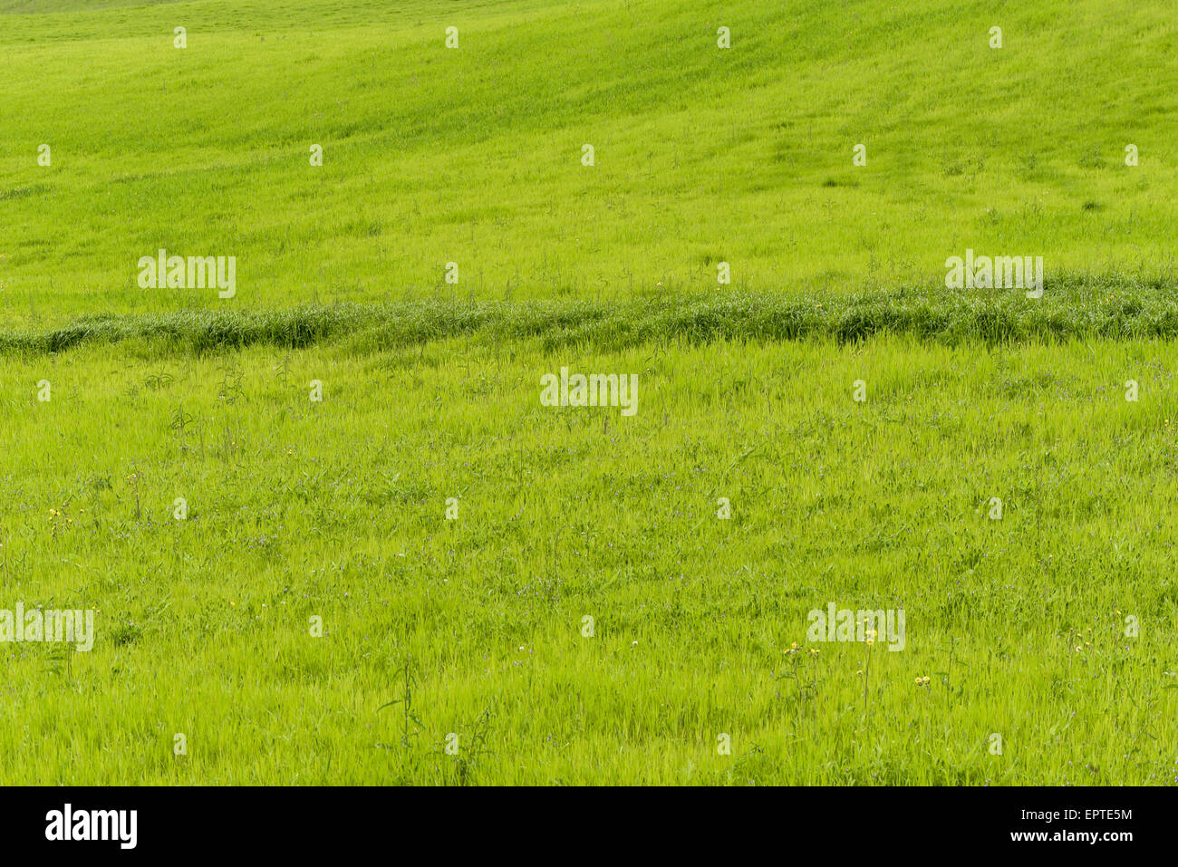 San lung hi-res stock photography and images - Alamy