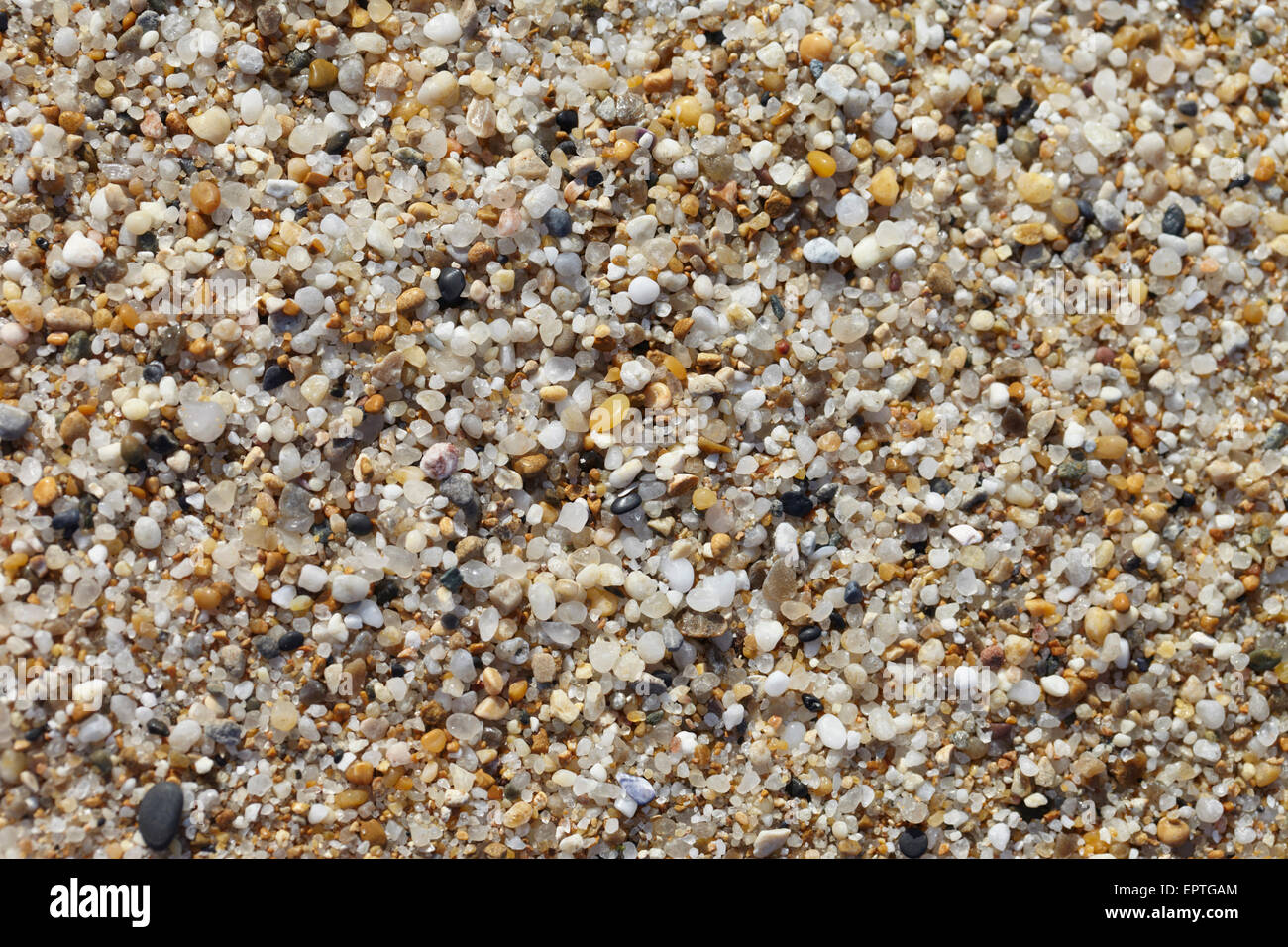 Close-up of Stones on Beach, Biarritz, France Stock Photo - Alamy
