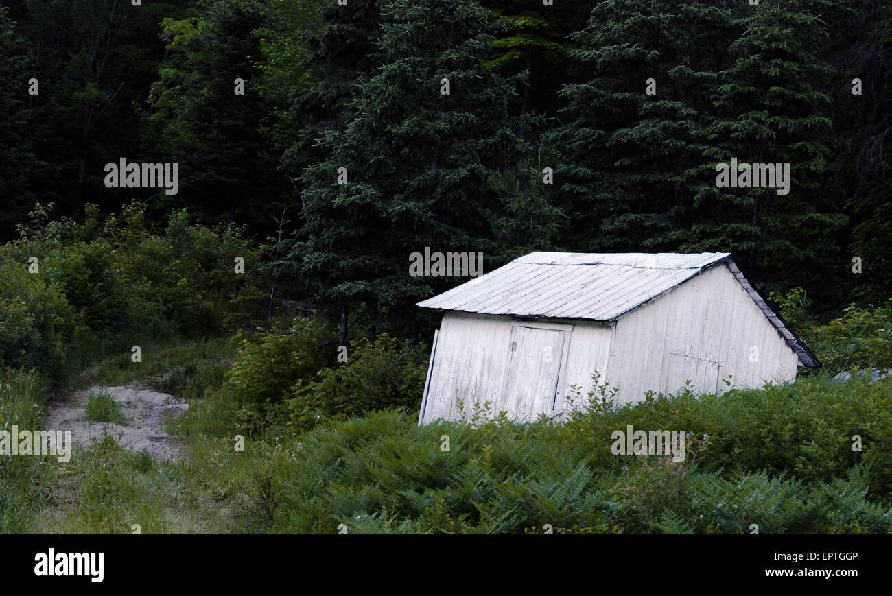 Barn in forest Stock Photo - Alamy