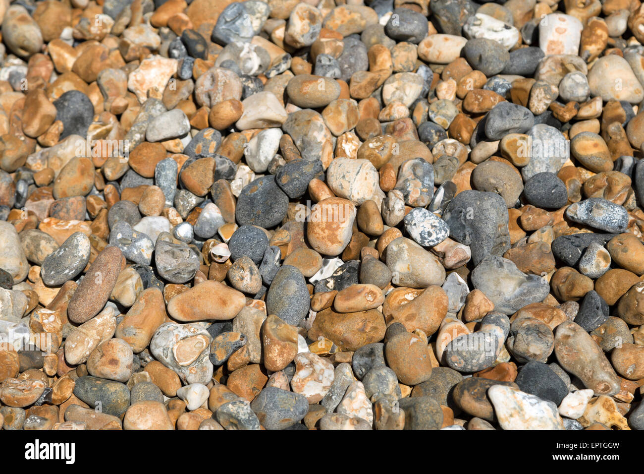 Colorful pebbles in different sizes and shapes on the beach at Brighton ...