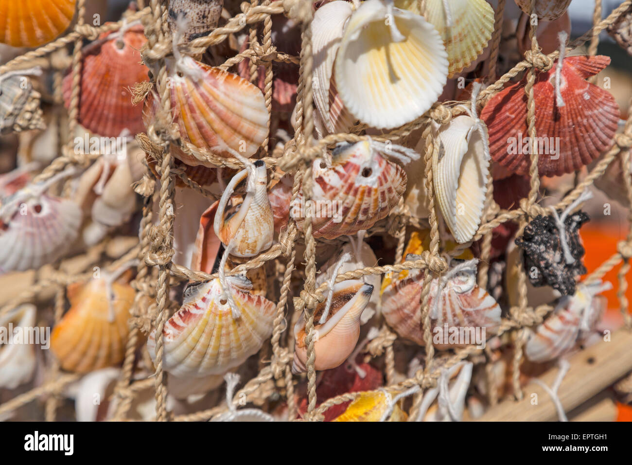 Hand decorated sea shell hi-res stock photography and images - Alamy