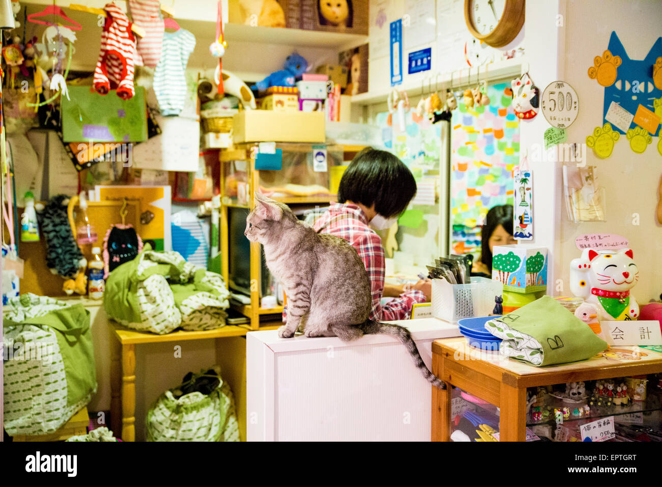 Cat cafe in Tokyo with people Stock Photo - Alamy
