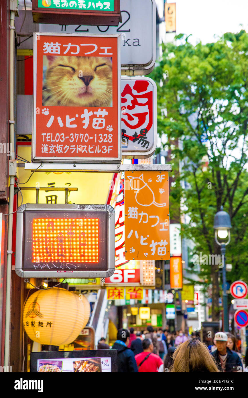 Cat cafe in Tokyo Stock Photo - Alamy