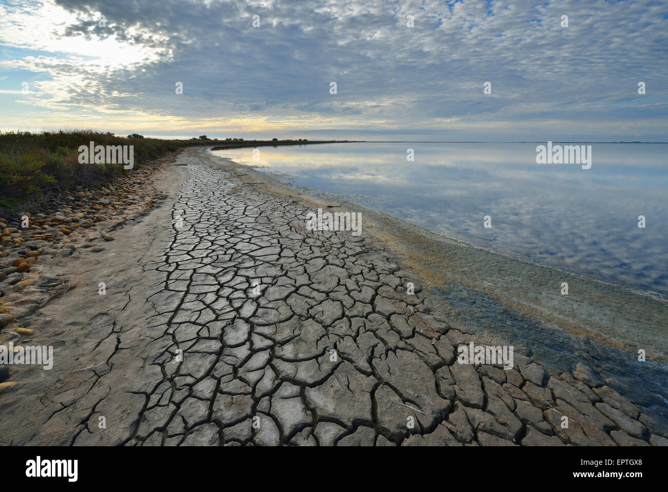 Cracked Dry Mud Shore at Lake in Summer, Enfores de la Vignolle, Digue ...