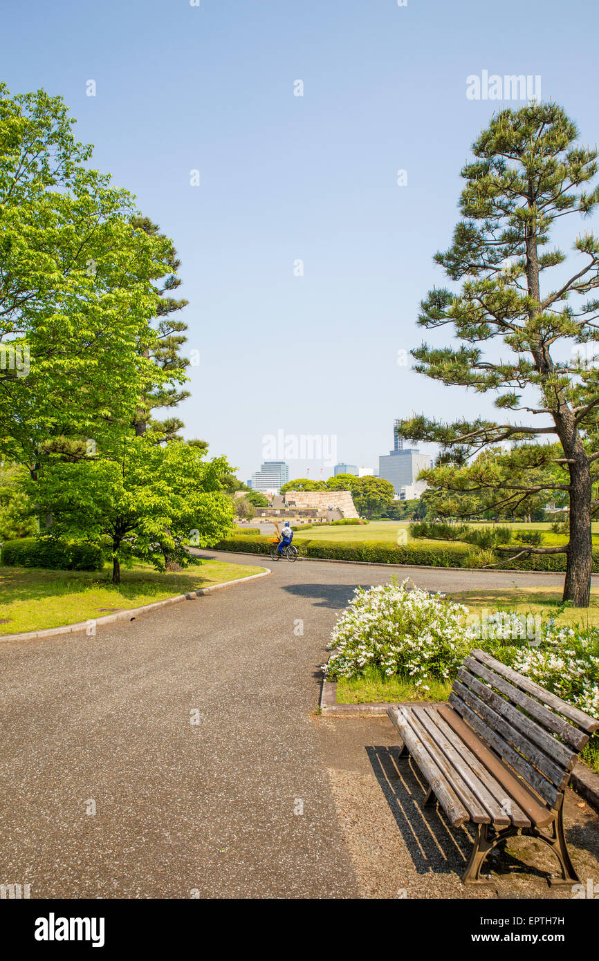 Japanese park in the summer sunshine Stock Photo - Alamy