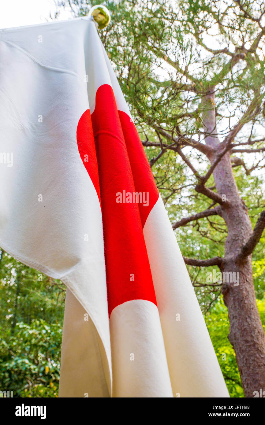 Japanese flag hanging against trees Stock Photo - Alamy