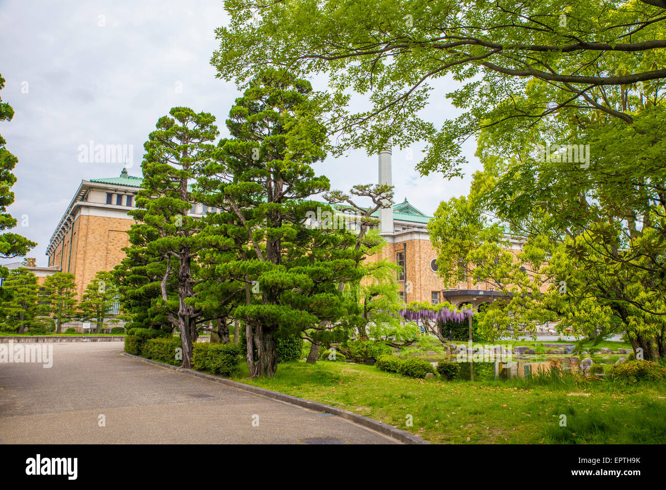 Japanese park in the summer sunshine Stock Photo - Alamy
