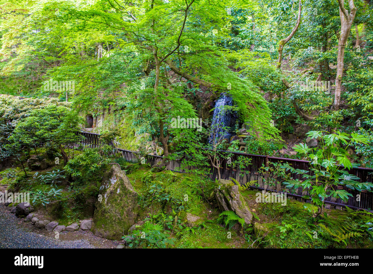 Japanese park in the summer sunshine Stock Photo - Alamy