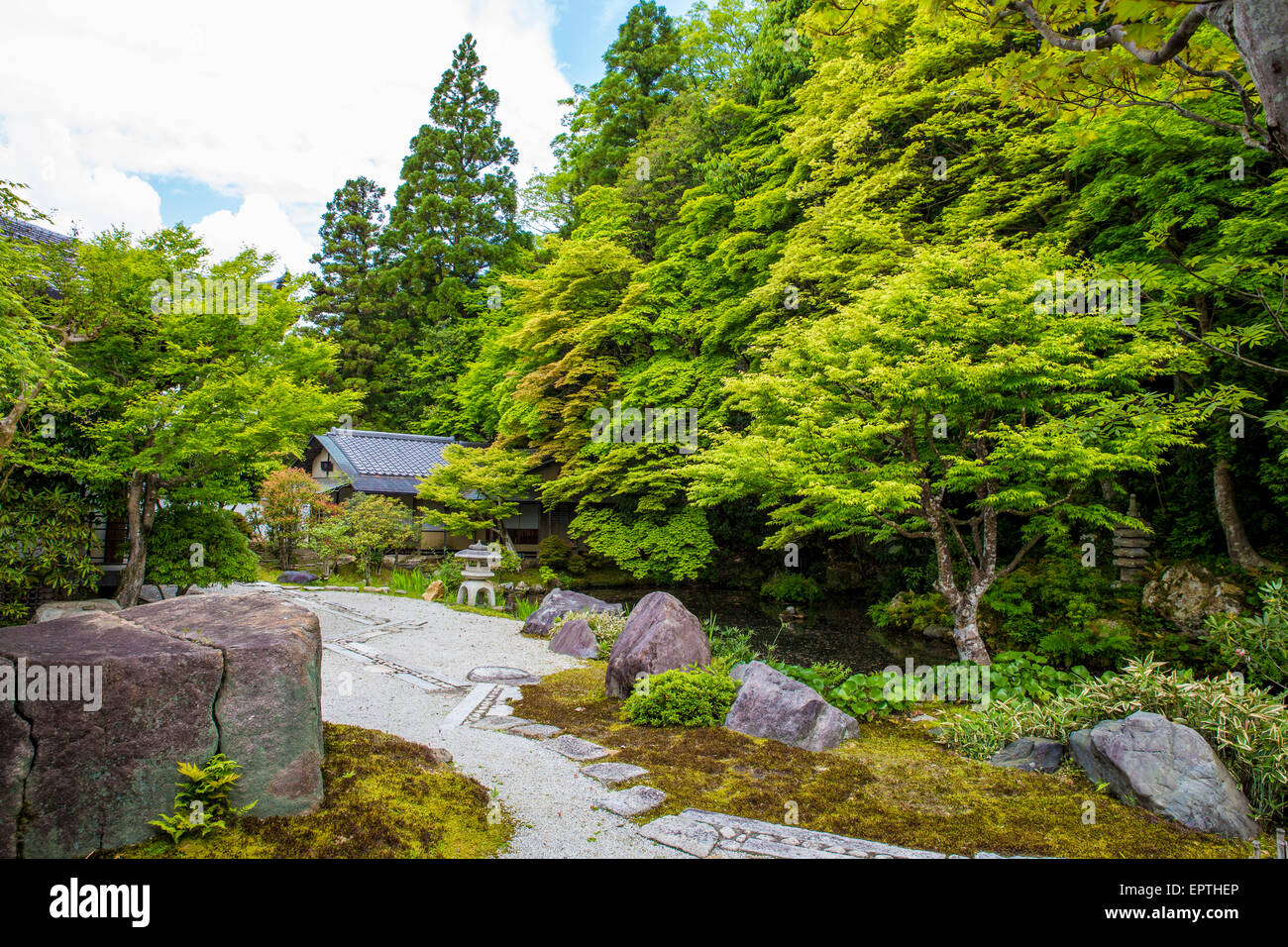 Japanese park in the summer sunshine Stock Photo - Alamy