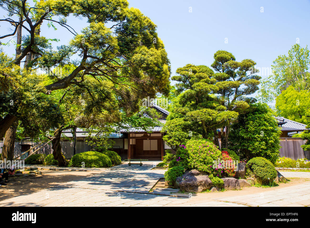 Japanese park in the summer sunshine Stock Photo - Alamy