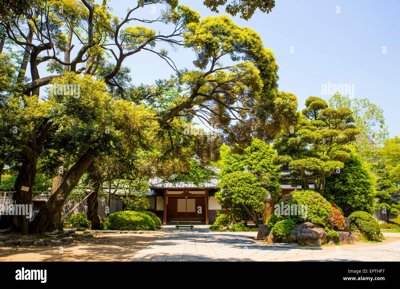Japanese park in the summer sunshine Stock Photo - Alamy