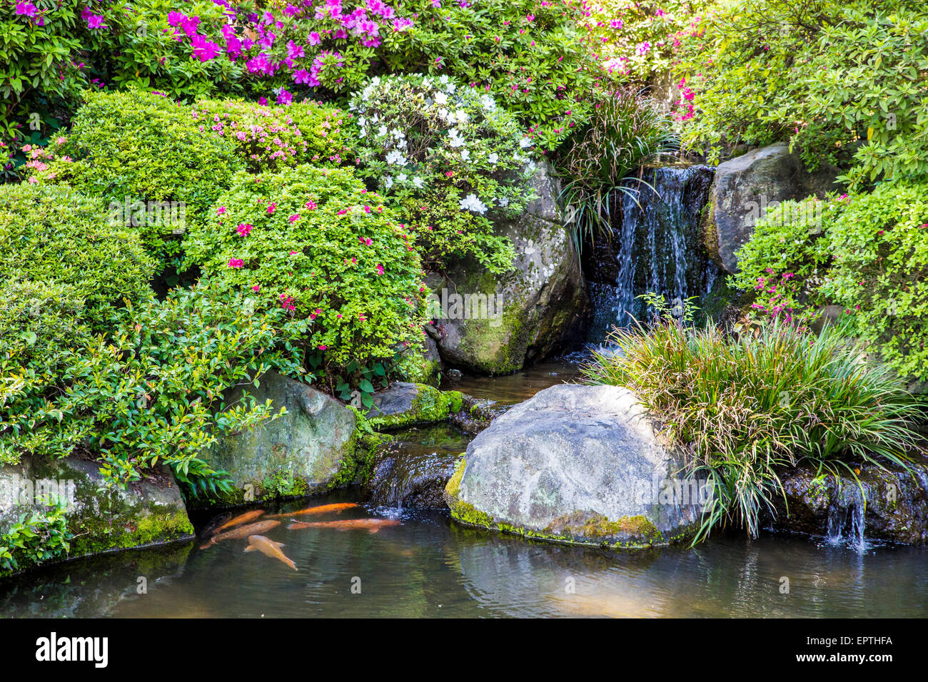 Japanese park in the summer sunshine Stock Photo - Alamy
