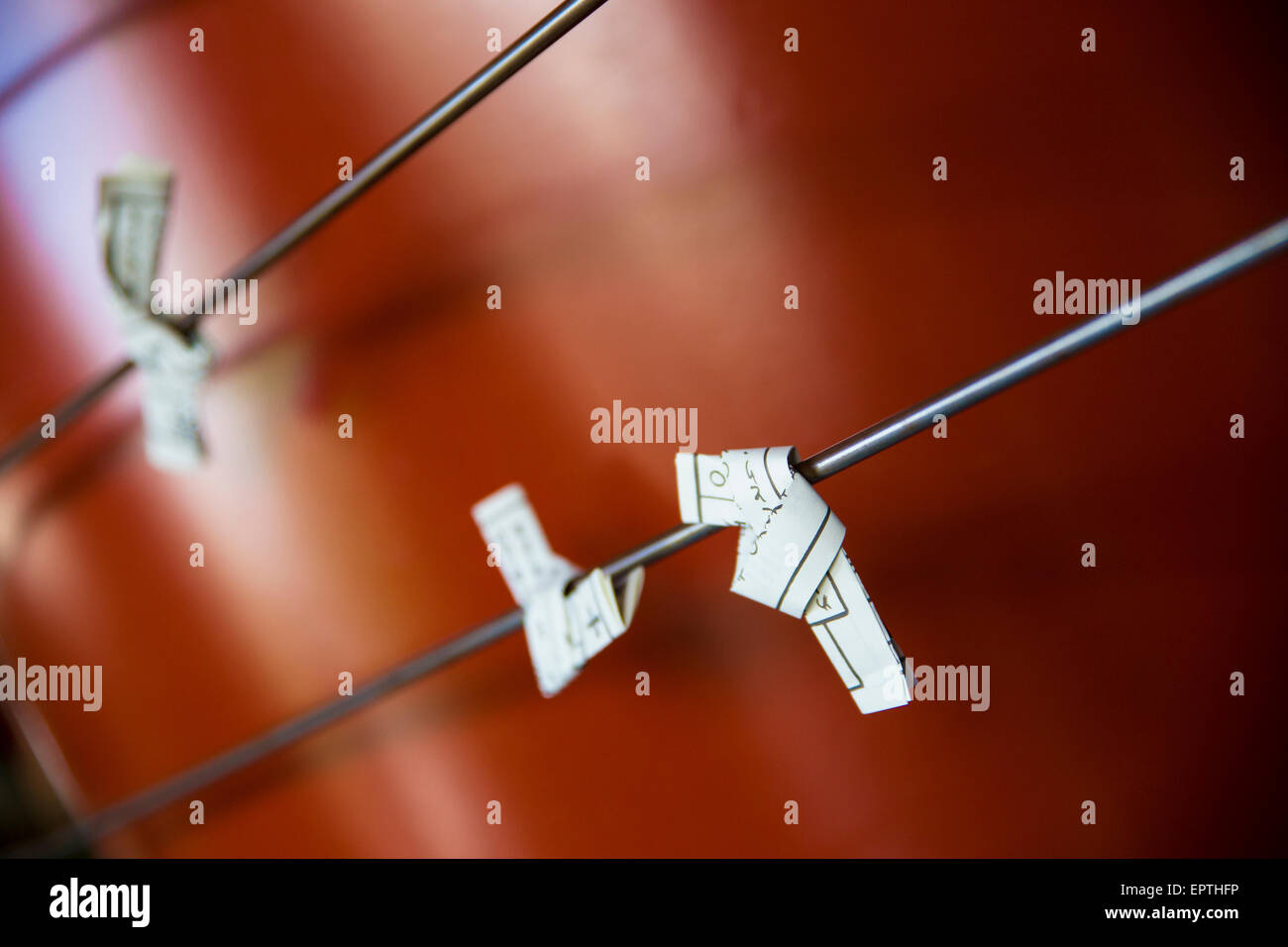 Japanese fortune telling Stock Photo - Alamy