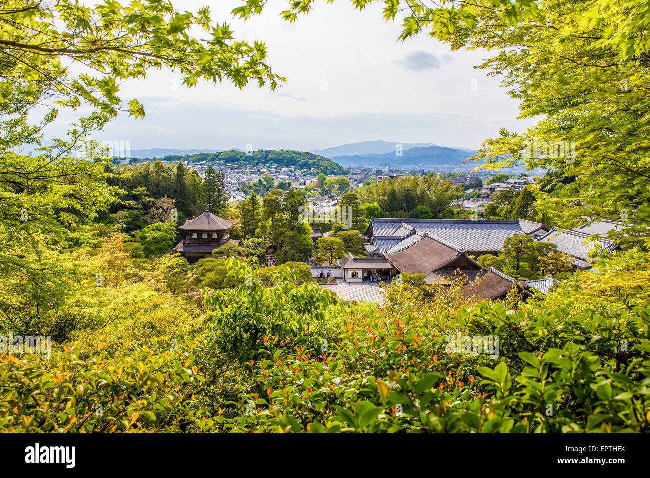 Japanese park in the summer sunshine Stock Photo - Alamy