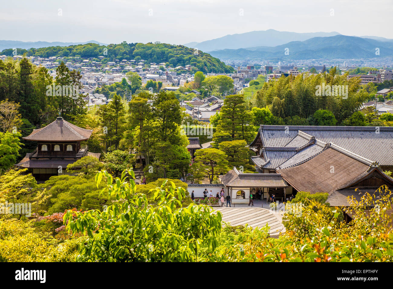 Japanese park in the summer sunshine Stock Photo - Alamy