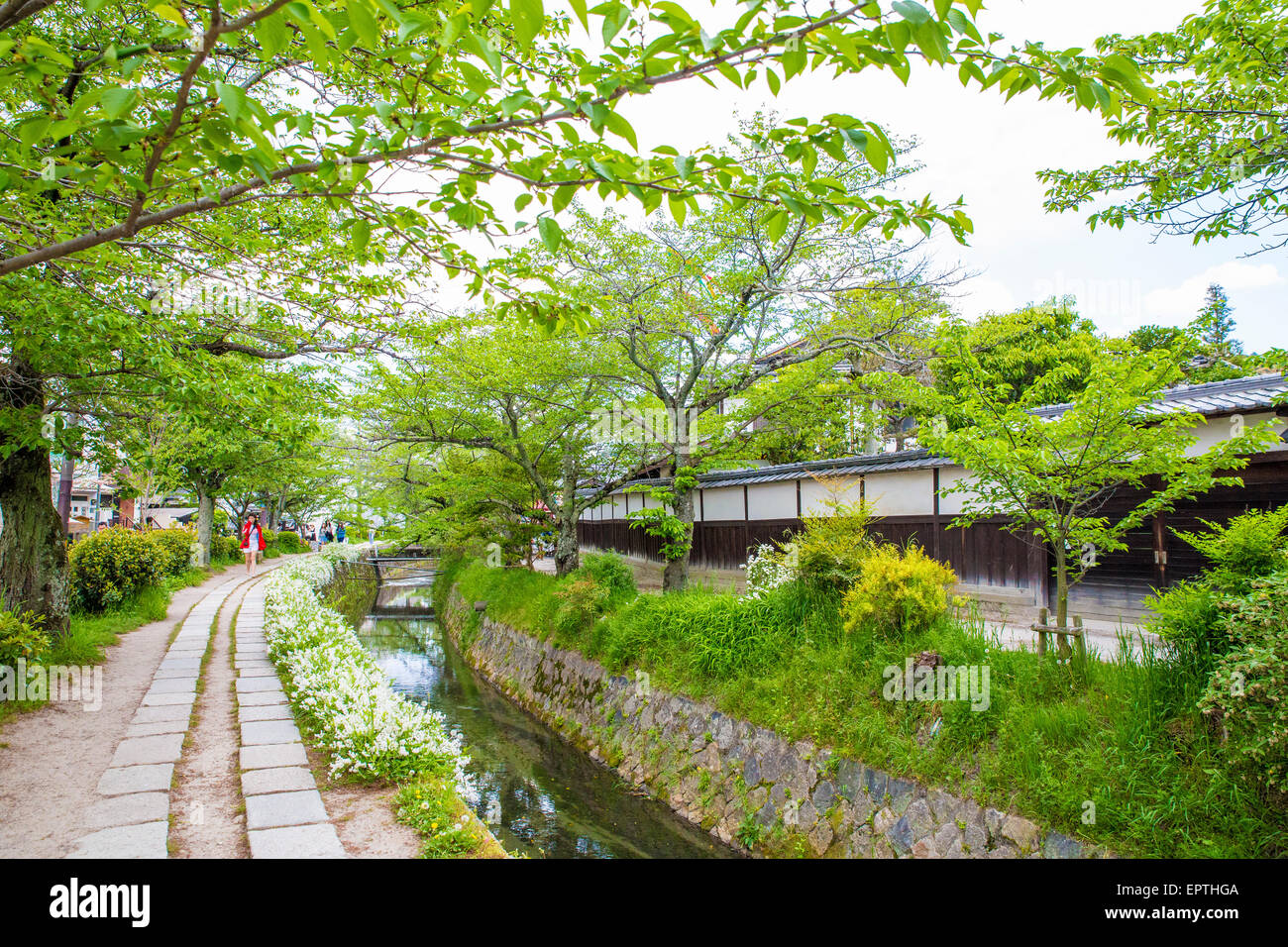 Japanese park in the summer sunshine Stock Photo - Alamy