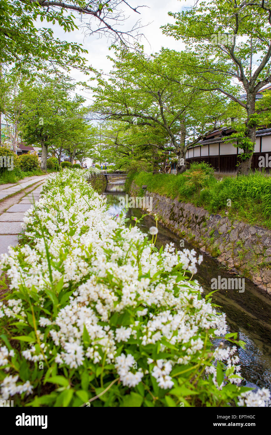 Japanese park in the summer sunshine Stock Photo - Alamy