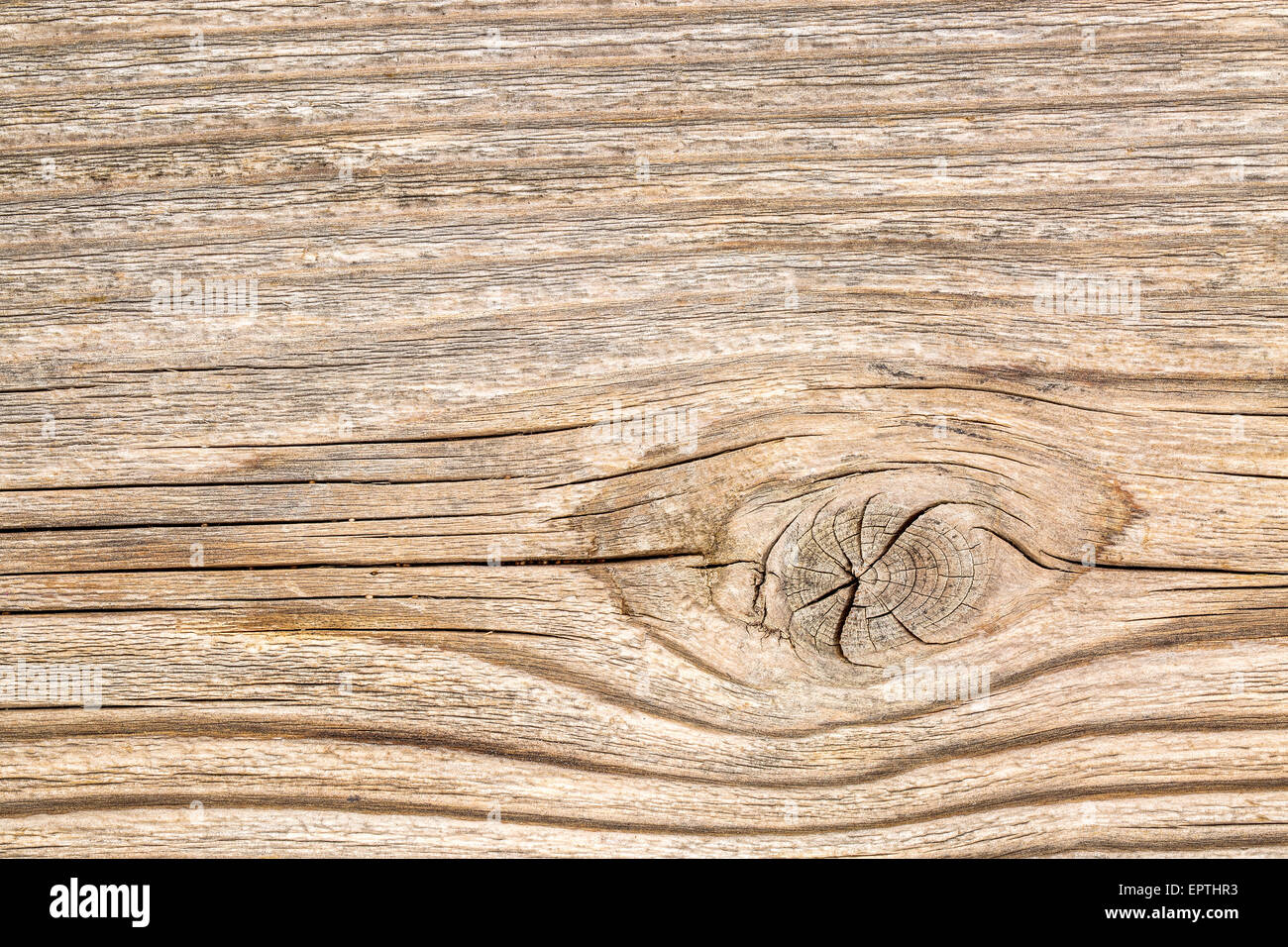 background texture of grained and knotted cedar wood plank Stock Photo ...