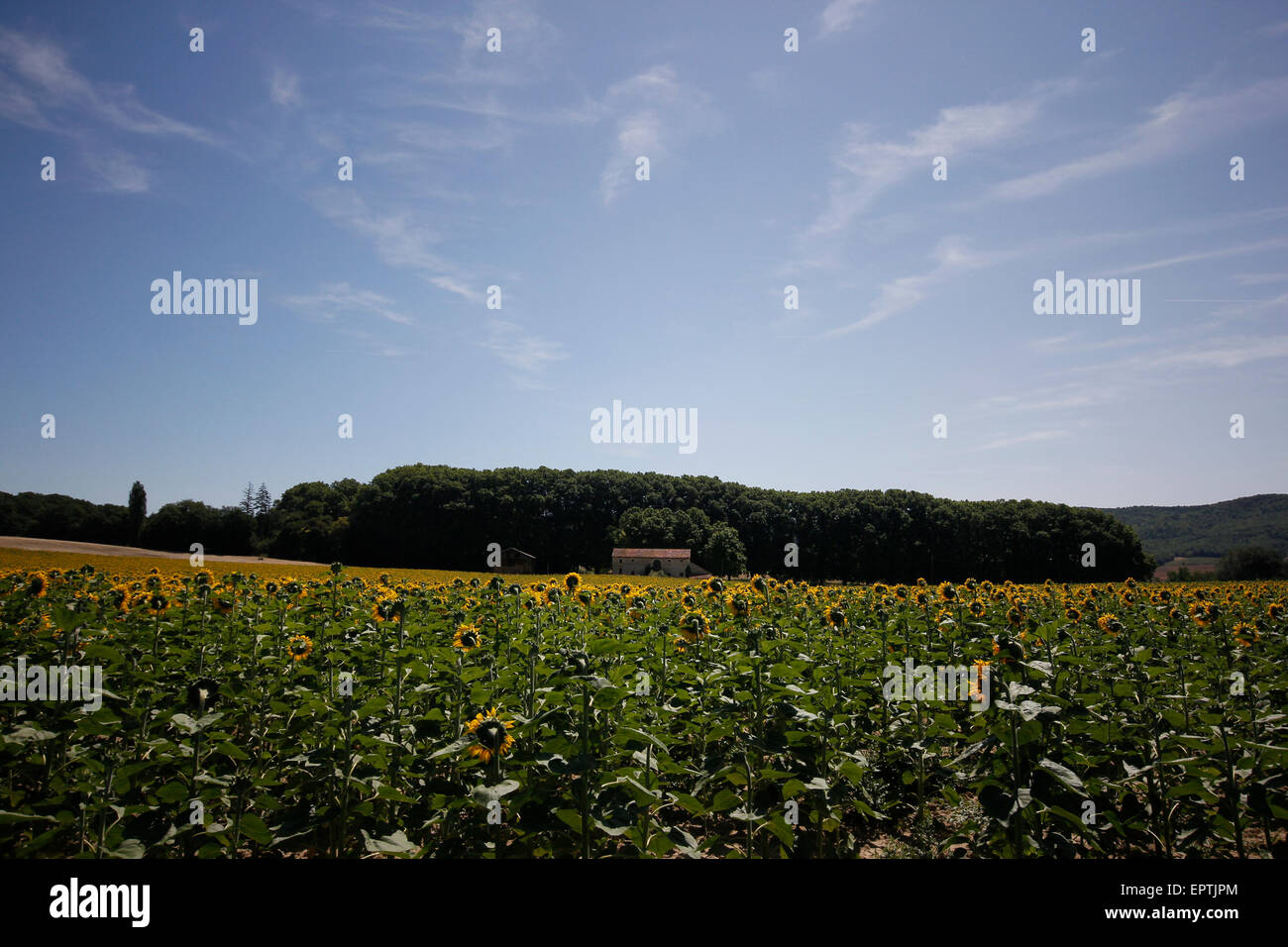 Southern france farm house hi-res stock photography and images - Alamy