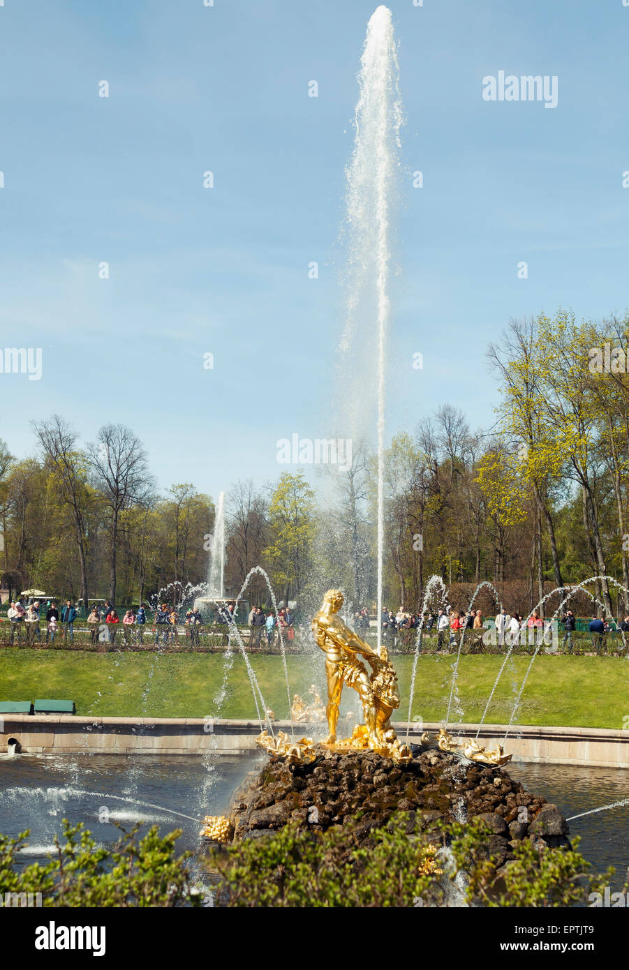 Samson fountain in Grand Cascade, Peterhof, Russia Stock Photo - Alamy