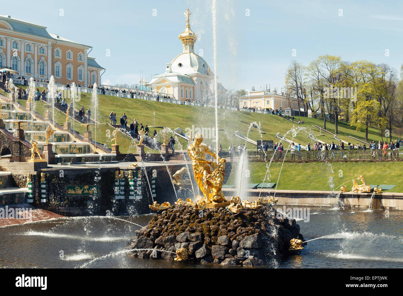 Samson fountain in Grand Cascade, Peterhof, Russia Stock Photo - Alamy