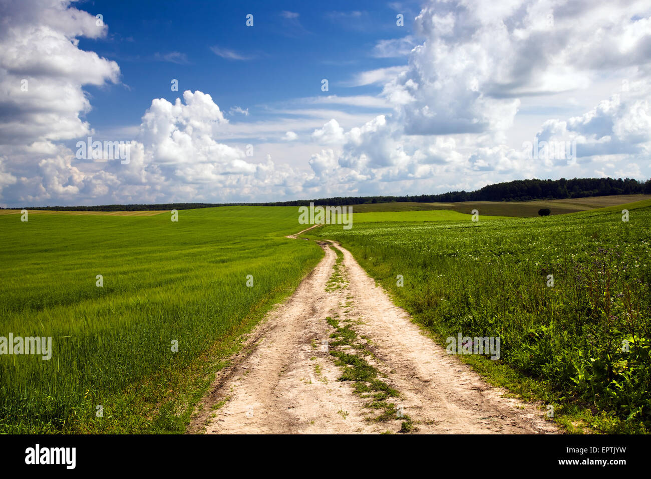 the rural road Stock Photo - Alamy