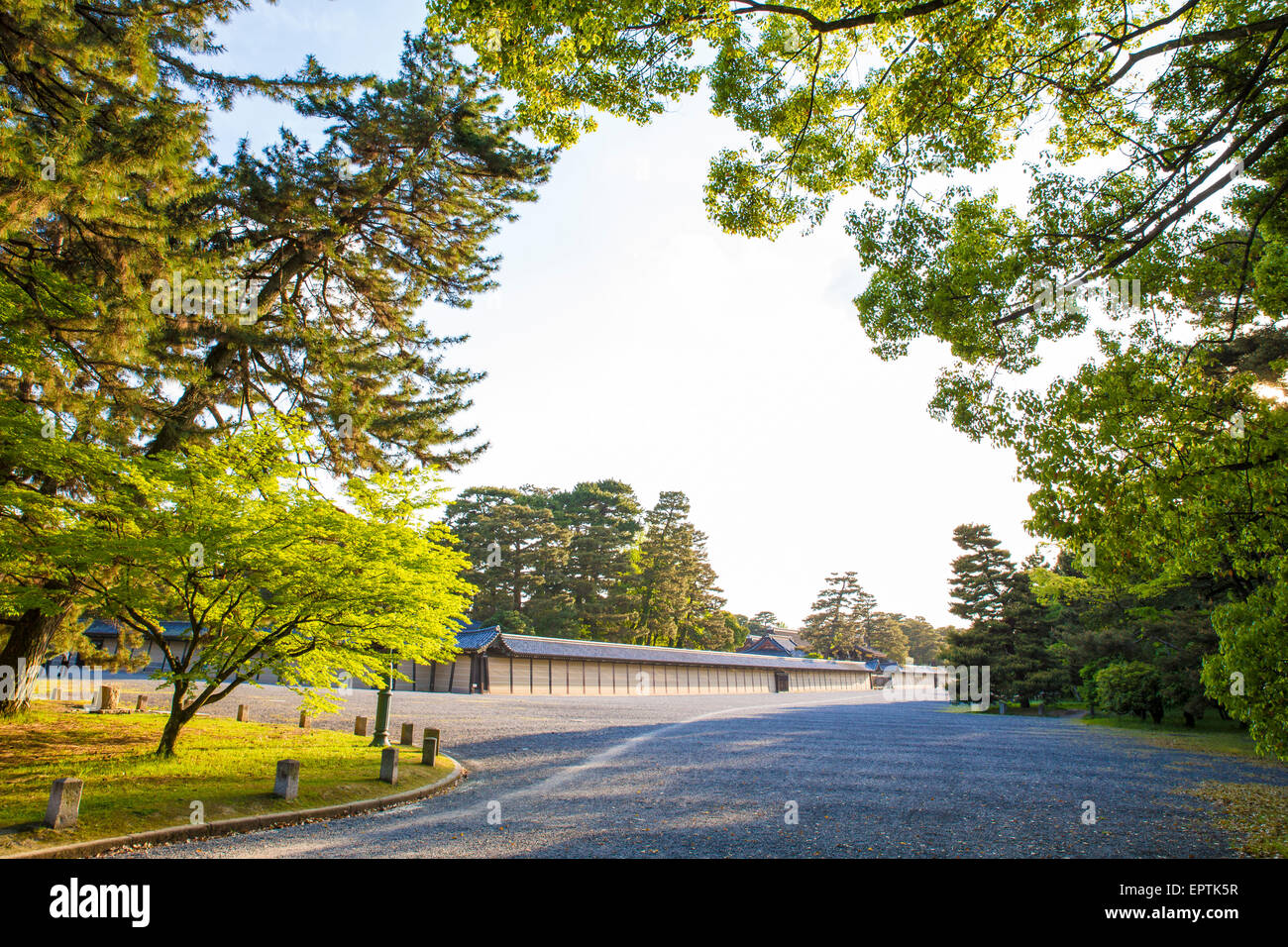 Japanese park in the summer sunshine Stock Photo - Alamy
