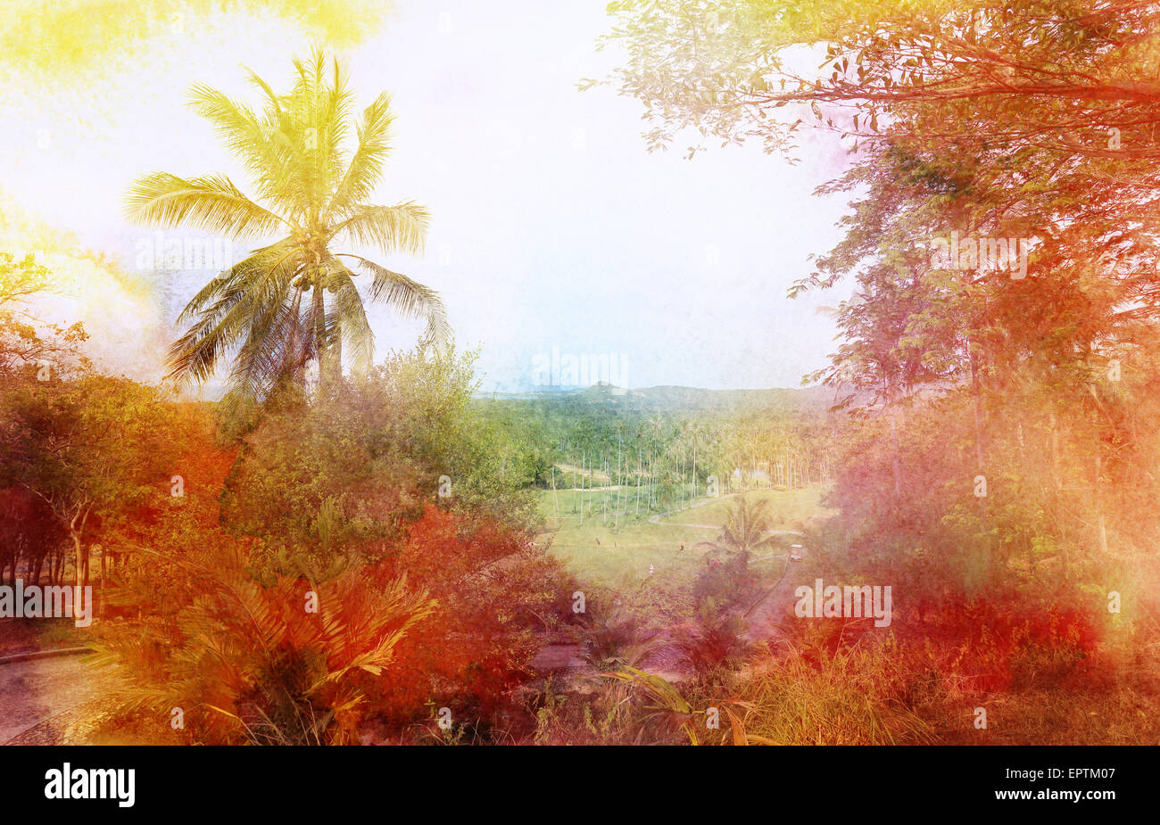 Abstract tropical landscape Stock Photo - Alamy