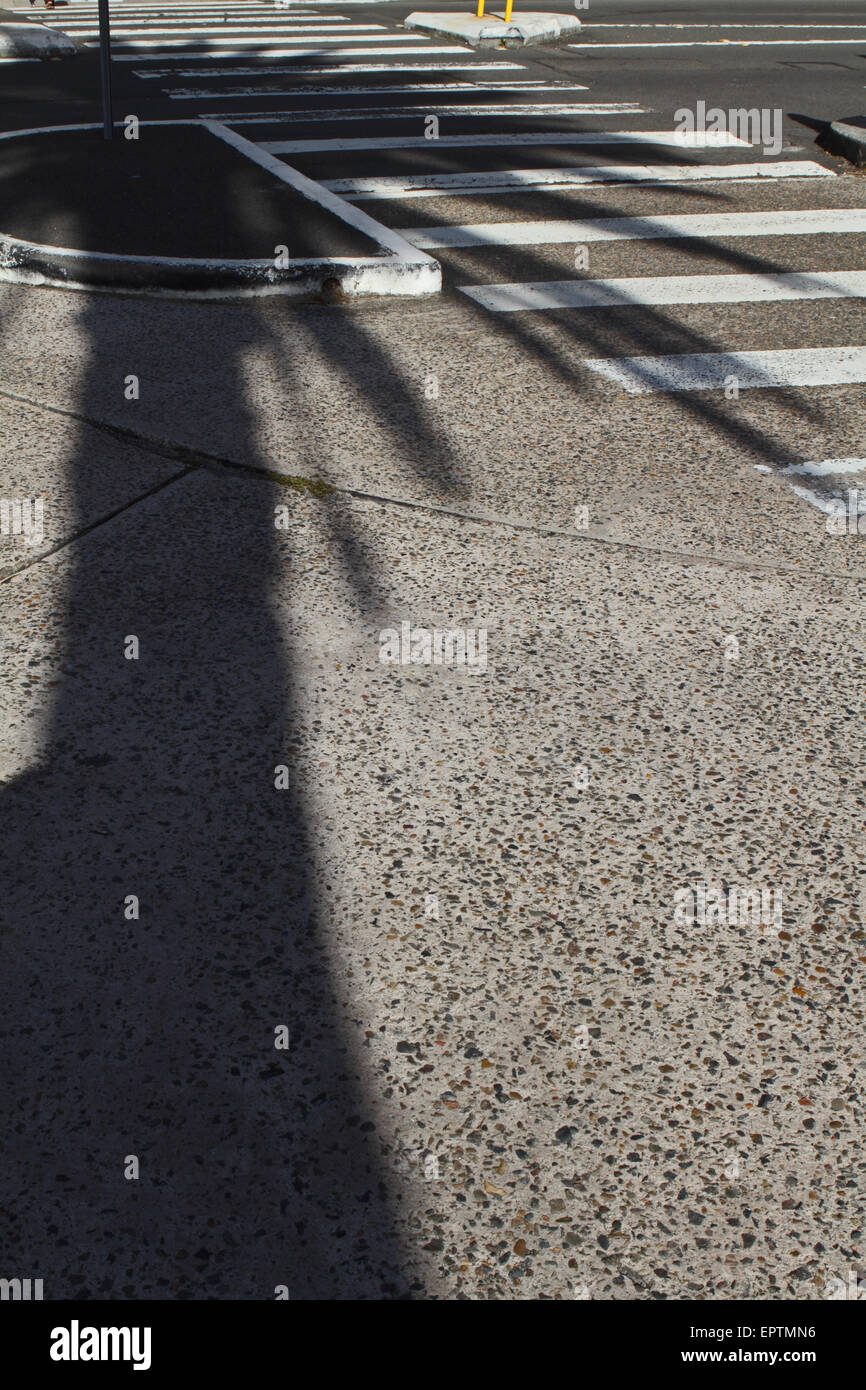 Tree down across road hi-res stock photography and images - Alamy