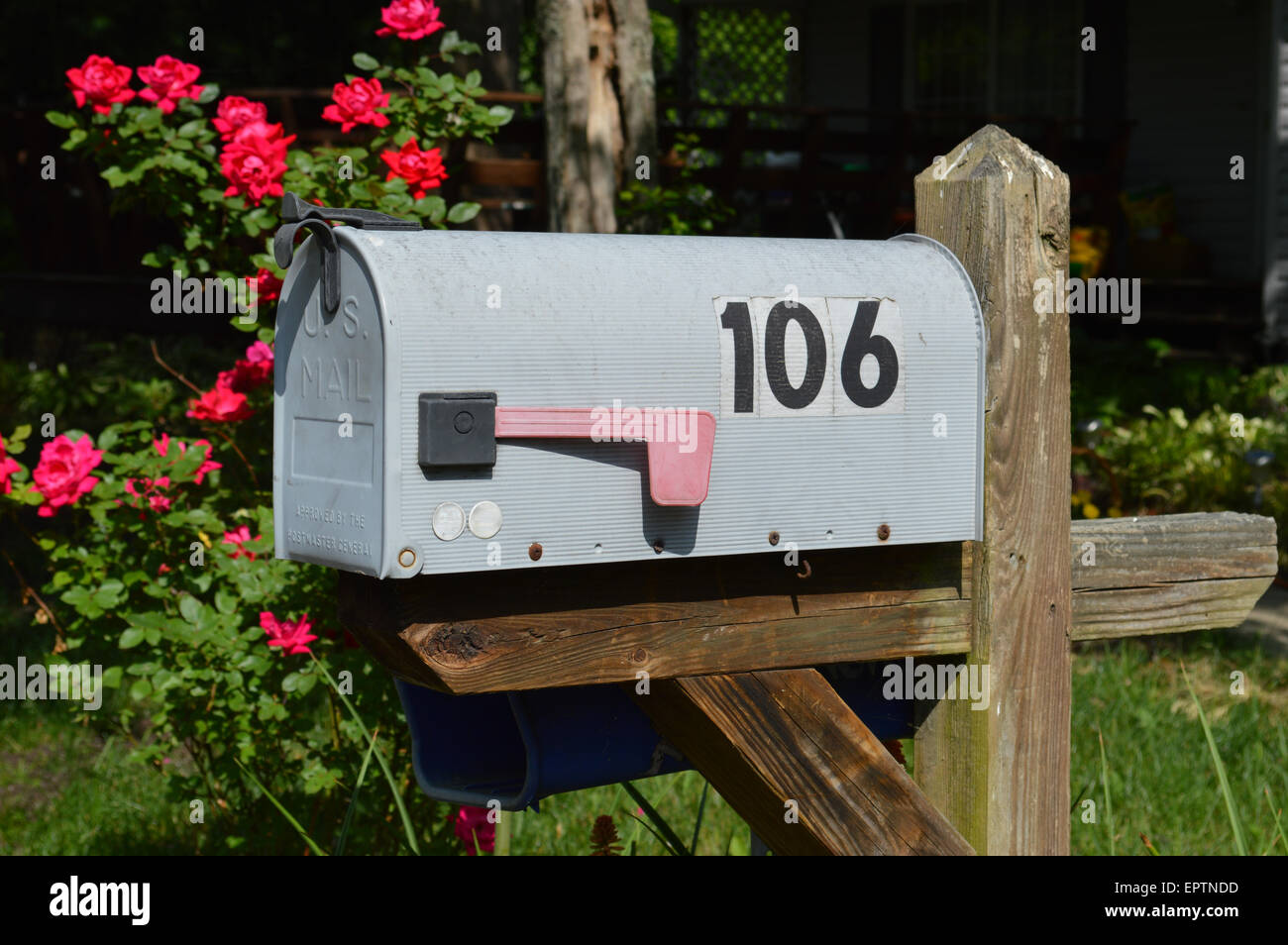 A rural mail box with Roses in the background Stock Photo - Alamy