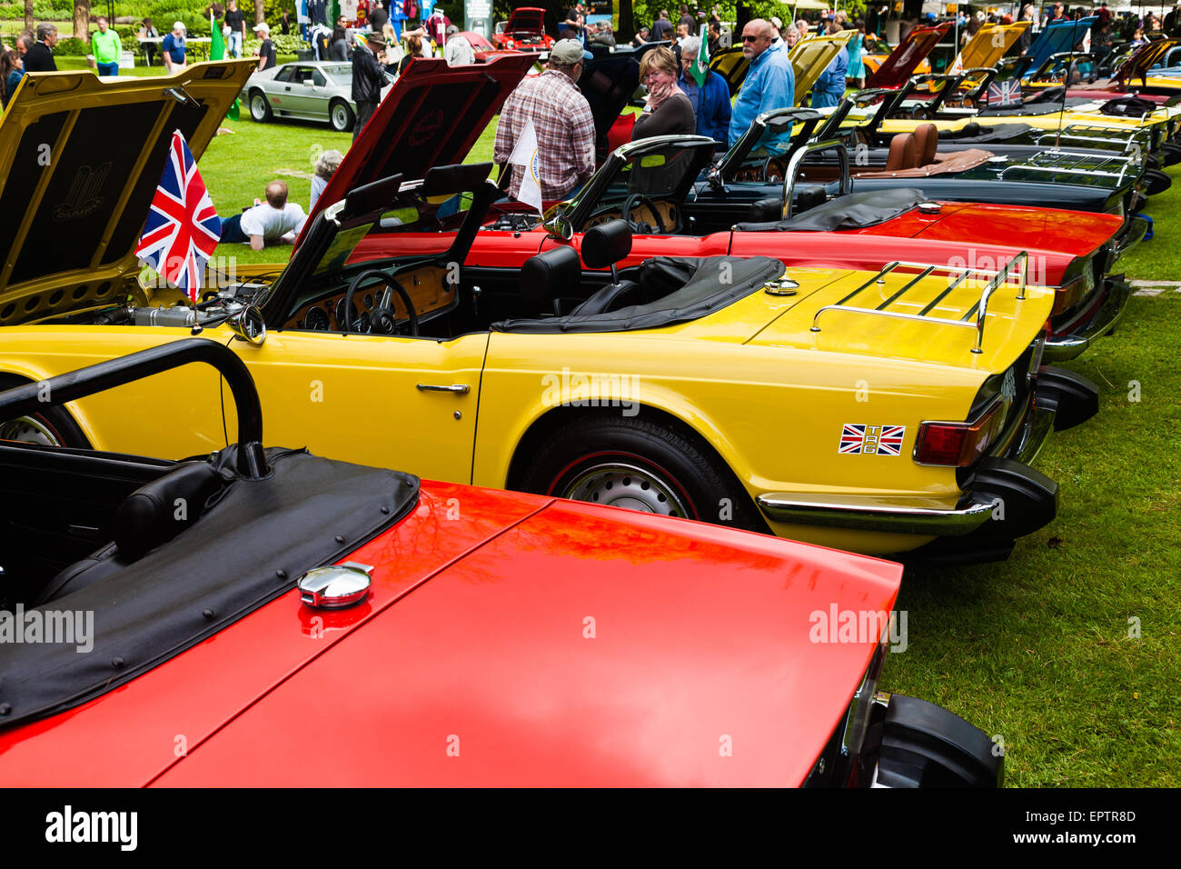 Triumph TR6 Sports Cars on display at a British car meet in Vancouver ...