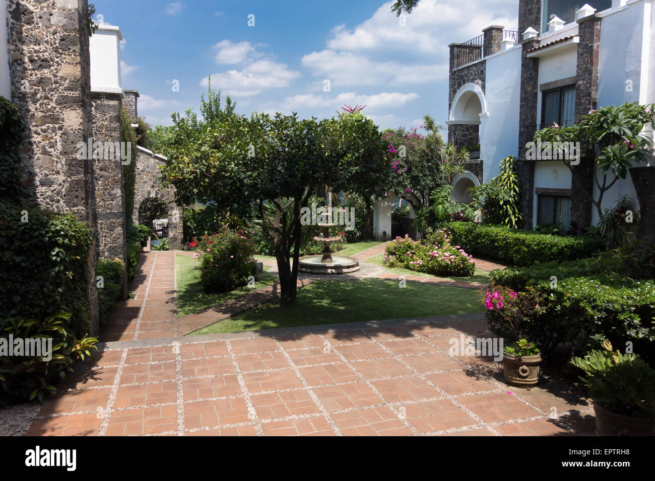Trees in a garden, Xochimilco, Mexico City, Mexico Stock Photo - Alamy