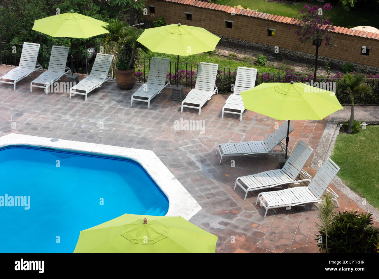 Swimming pool in a tourist resort, Mexico City, Mexico Stock Photo - Alamy