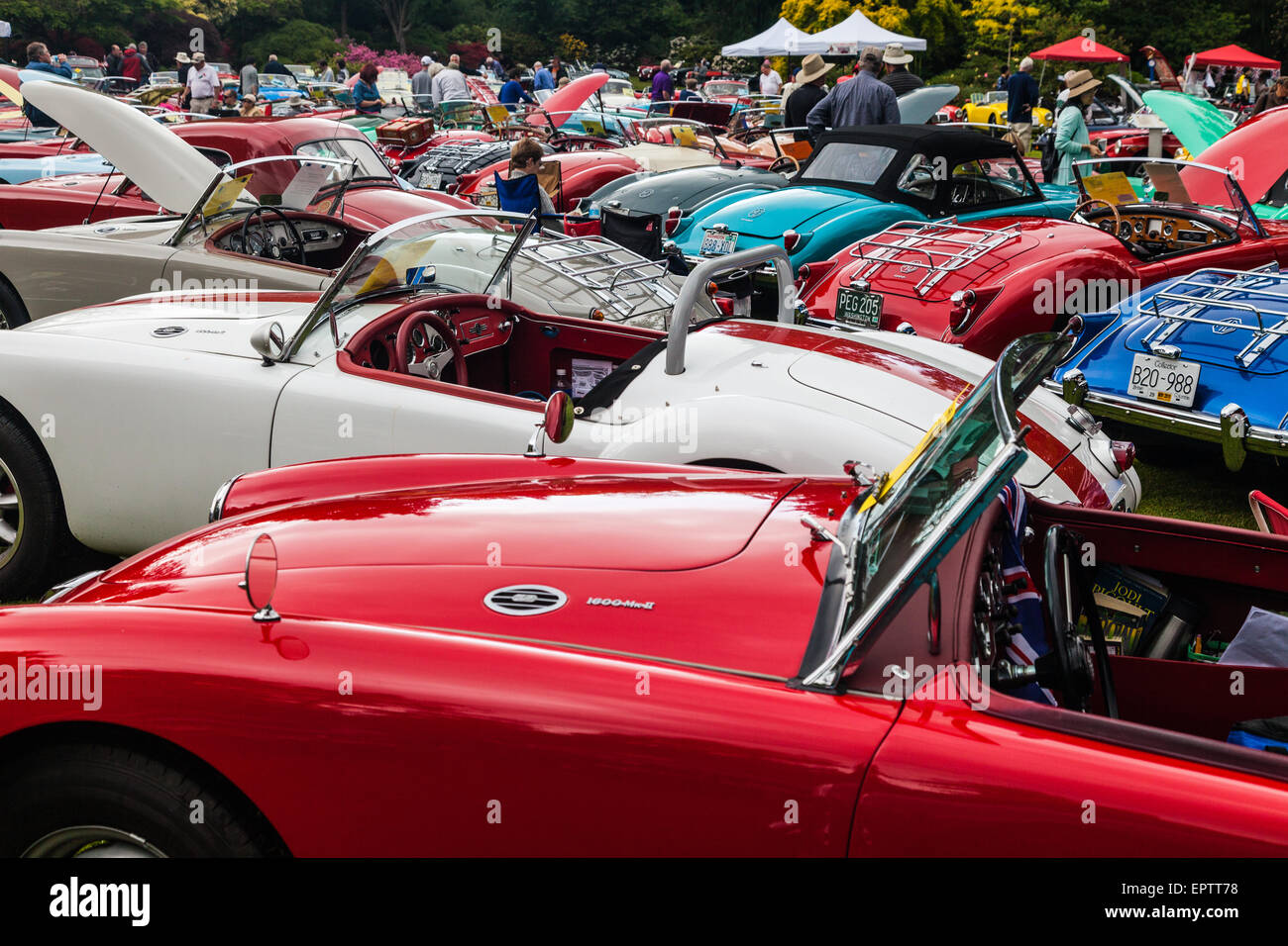 MG 1600 British Sports Cars on show at a meet in Vancouver Stock Photo ...