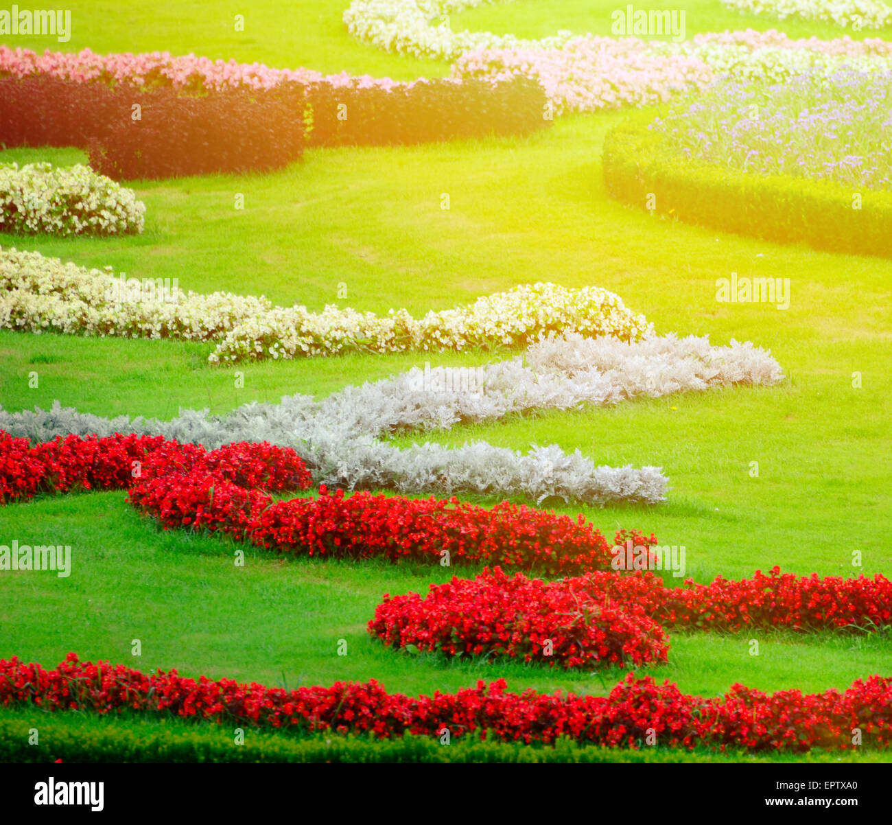 Beautiful flower garden in Schonbrunn palace - Vienna Austria Stock ...