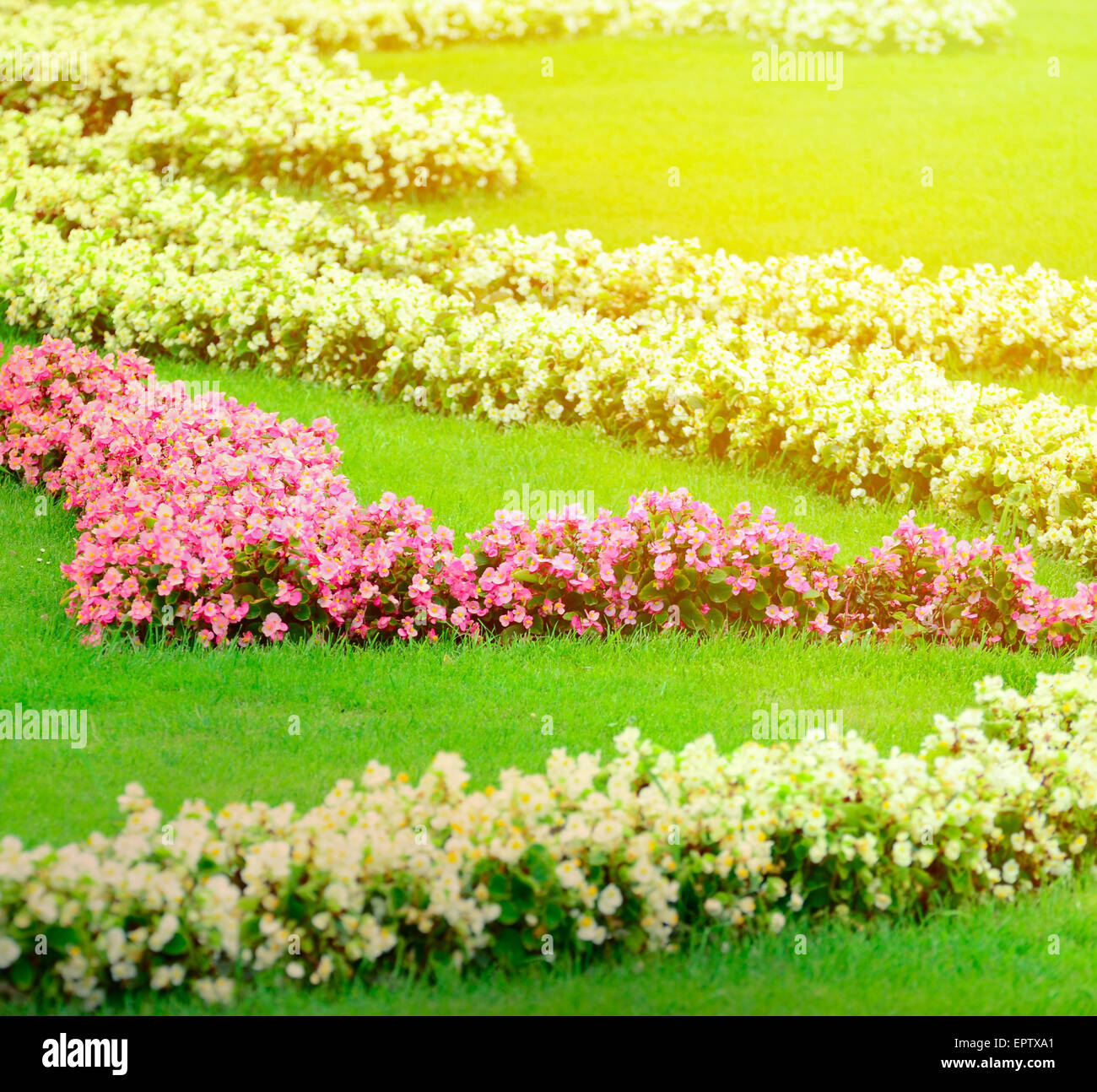 Beautiful flower garden in Schonbrunn palace - Vienna Austria Stock ...