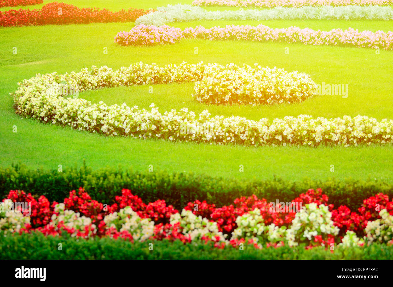 Beautiful flower garden in Schonbrunn palace - Vienna Austria Stock ...