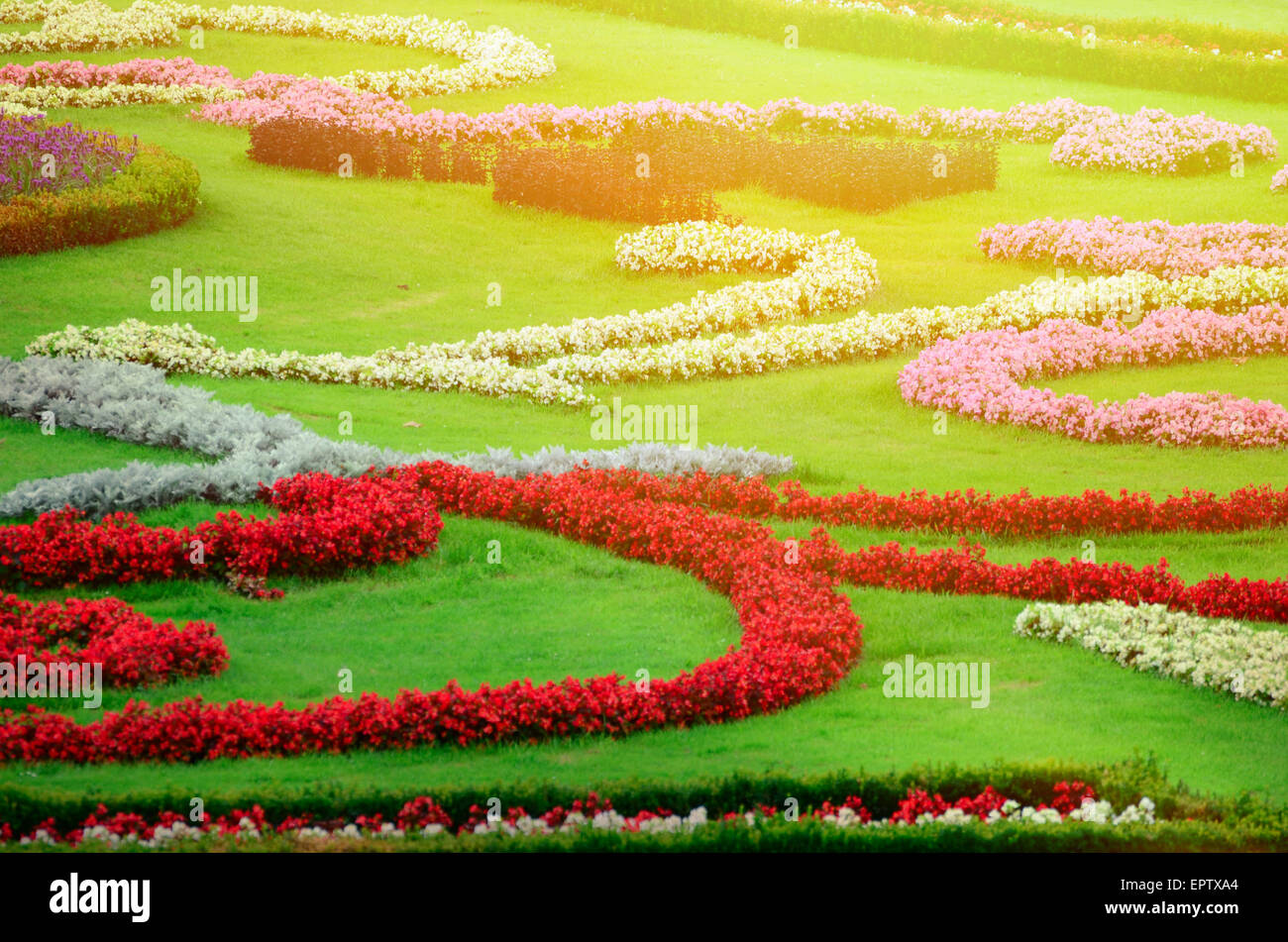 Beautiful flower garden in Schonbrunn palace - Vienna Austria Stock ...