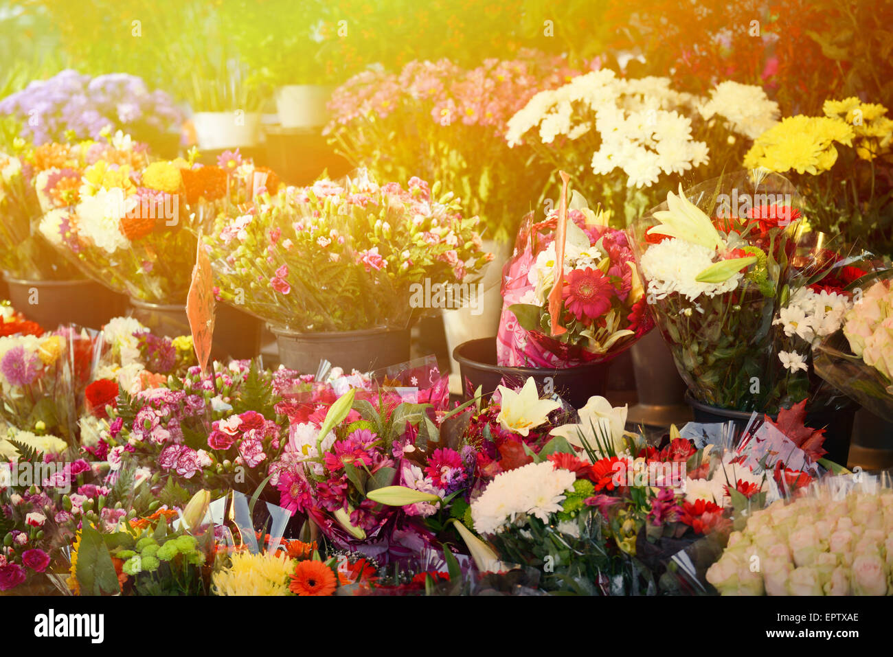 Flower market with various multicolored fresh flowers Stock Photo - Alamy