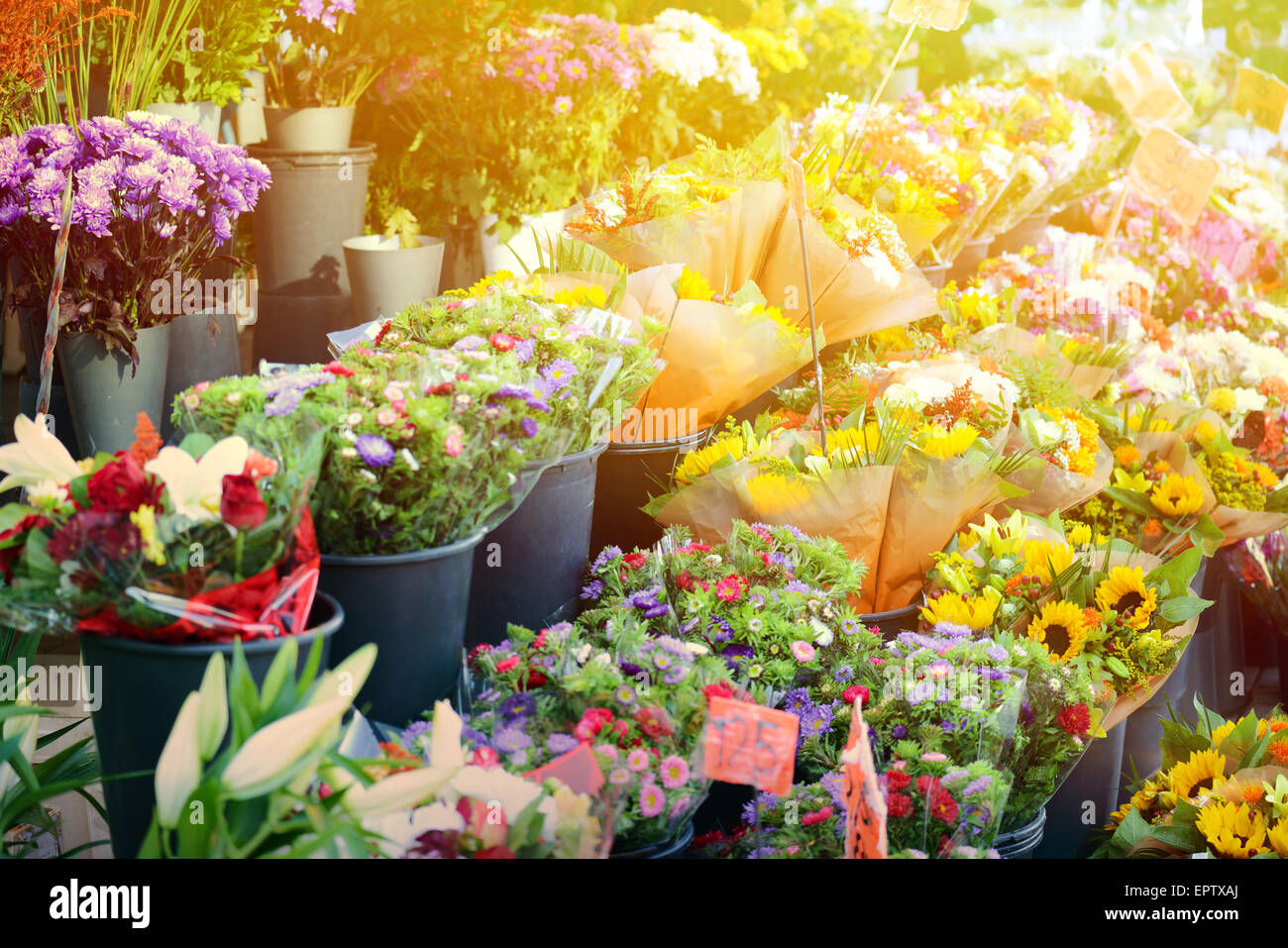 Flower market with various multicolored fresh flowers Stock Photo - Alamy