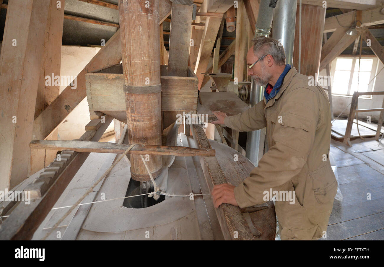 Zetel, Germany. 20th May, 2015. Miller Peter Egenhoff checks the ...