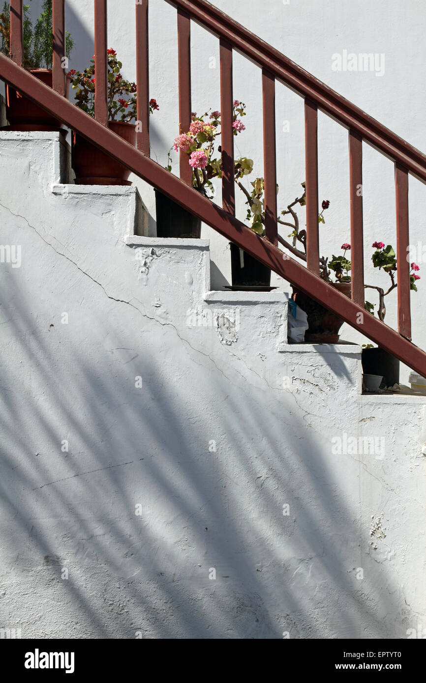 Rising steps with flower pots on each step Stock Photo - Alamy