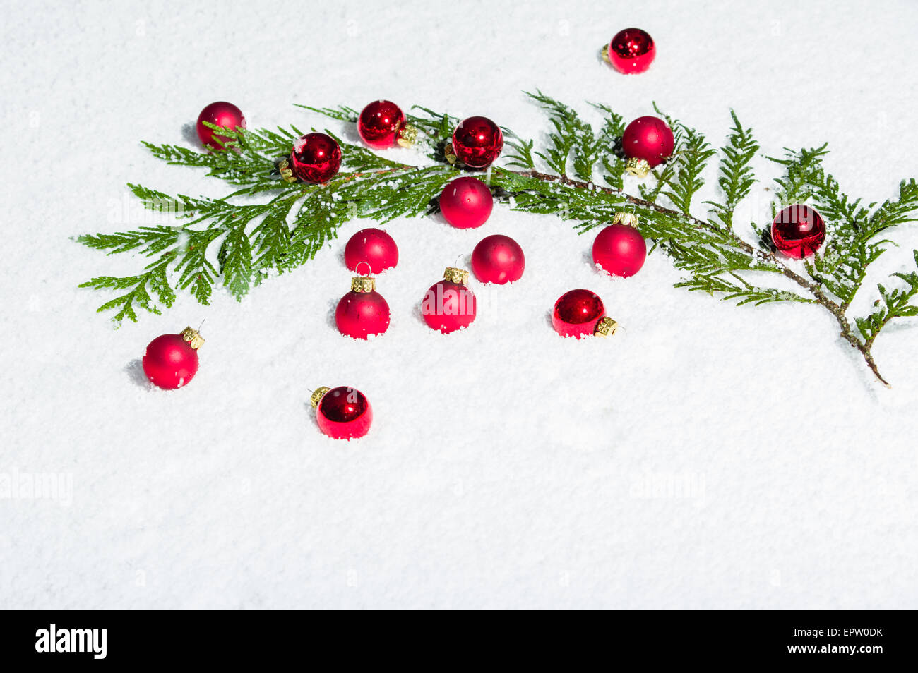 Evergreen Bough High Resolution Stock Photography and Images - Alamy