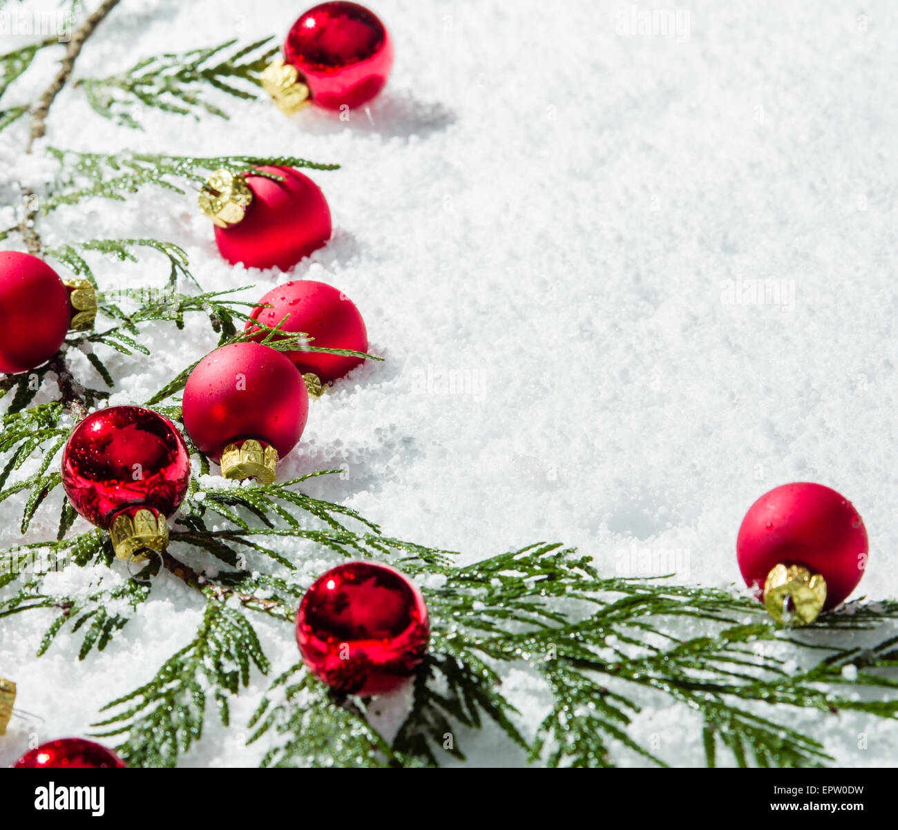 A border of green cedar branch with red balls Stock Photo - Alamy