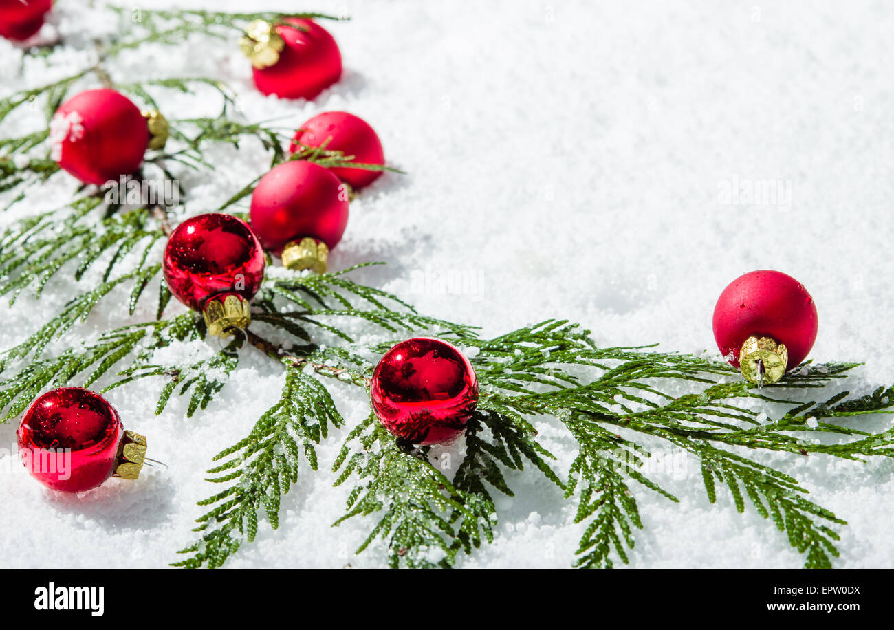A border of green cedar branch with red balls Stock Photo - Alamy