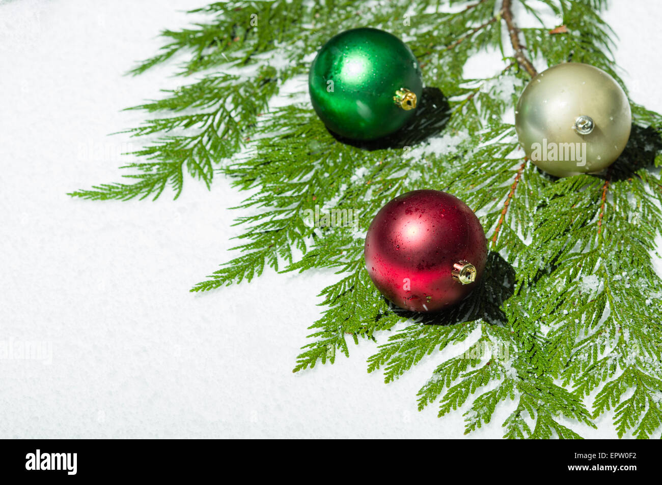 Cedar boughs hi-res stock photography and images - Alamy