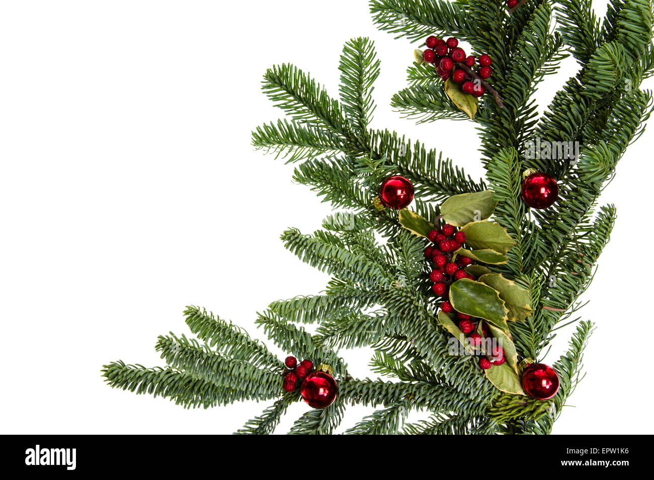 Holly border hi-res stock photography and images - Alamy