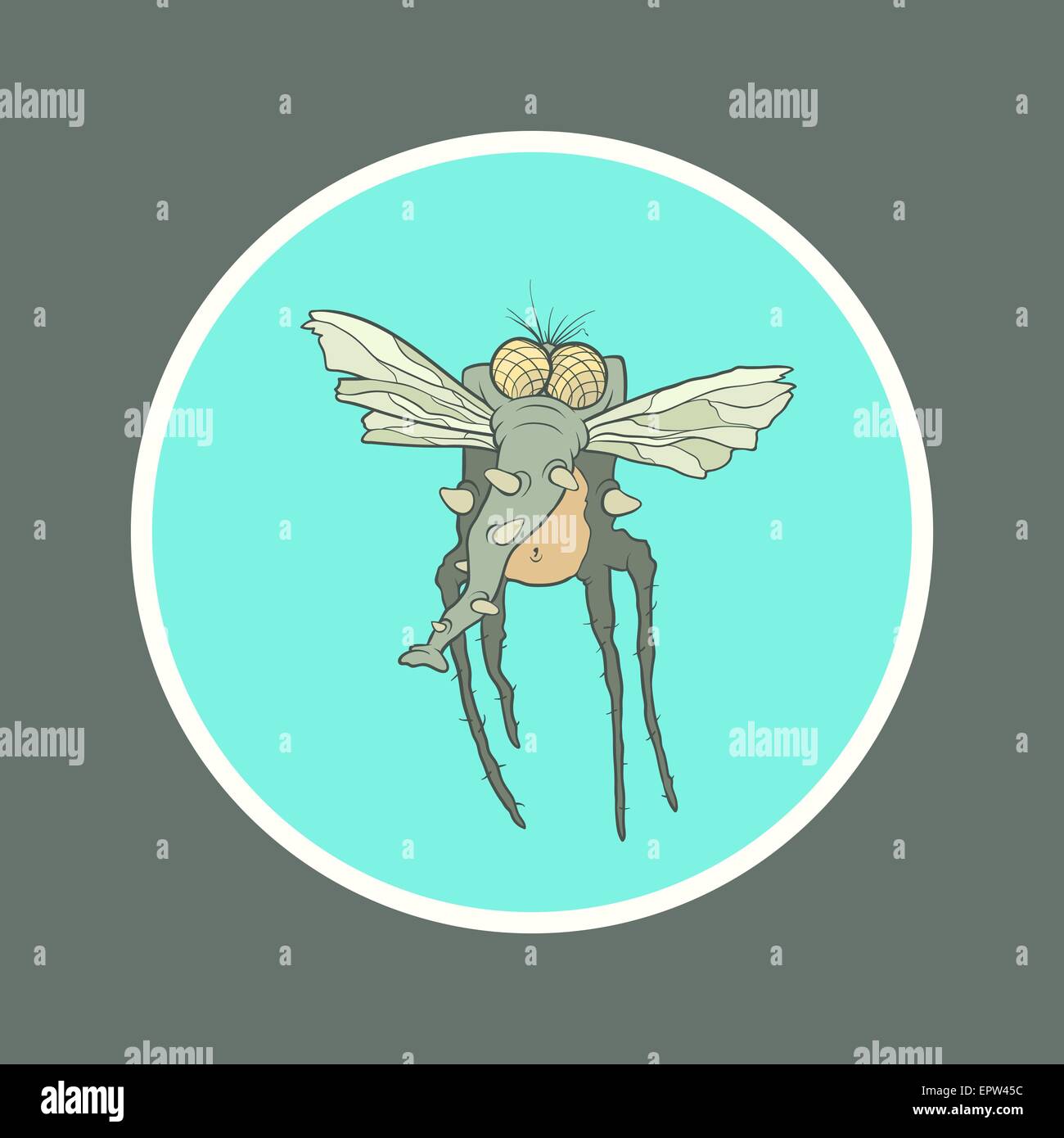 Illustration monster fly with long legs, wings and proboscis Stock ...